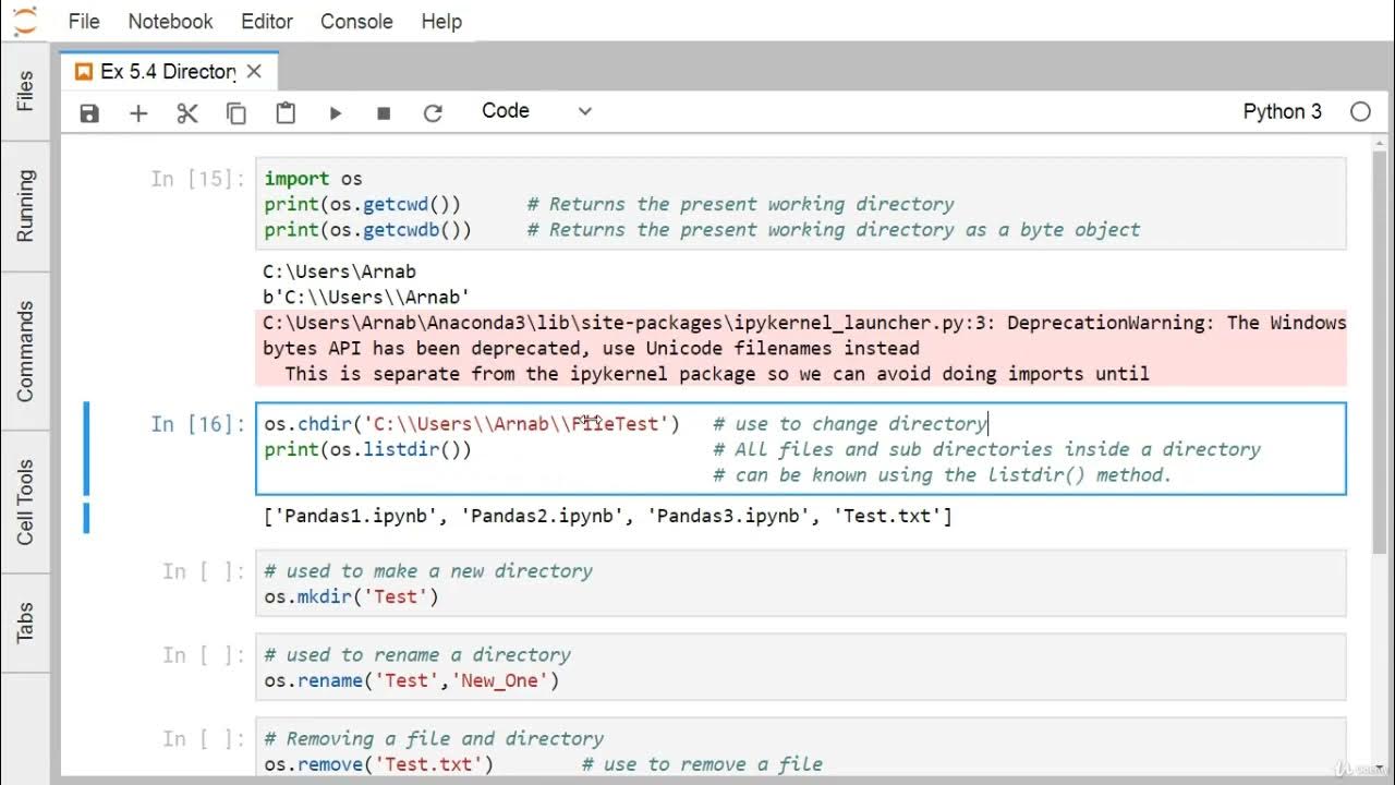 #10 Python Directory And File Management System - YouTube
