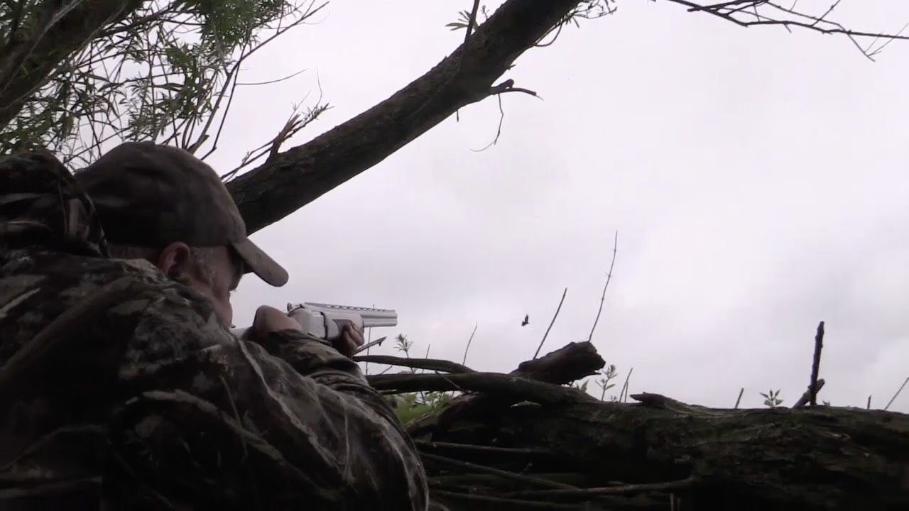 The Shooting Show - one-decoy pigeon and rook shooting in Yorkshire ...