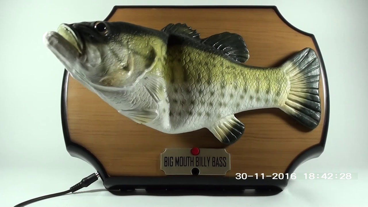 Original Singing Billy Bass - YouTube