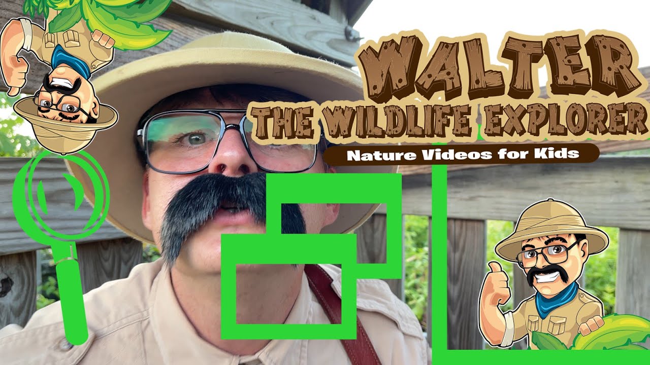 Backyard Bug Safari [Deleted Scenes Part 1] - Playful Learning for Kids ...