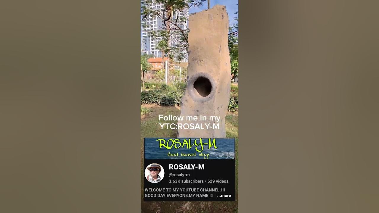 SANAY MAKAPILING NA KITA(IF I EVER FALL IN LOVE AGAIN)tagalog version @SARONA GARDEN TLV - YouTube