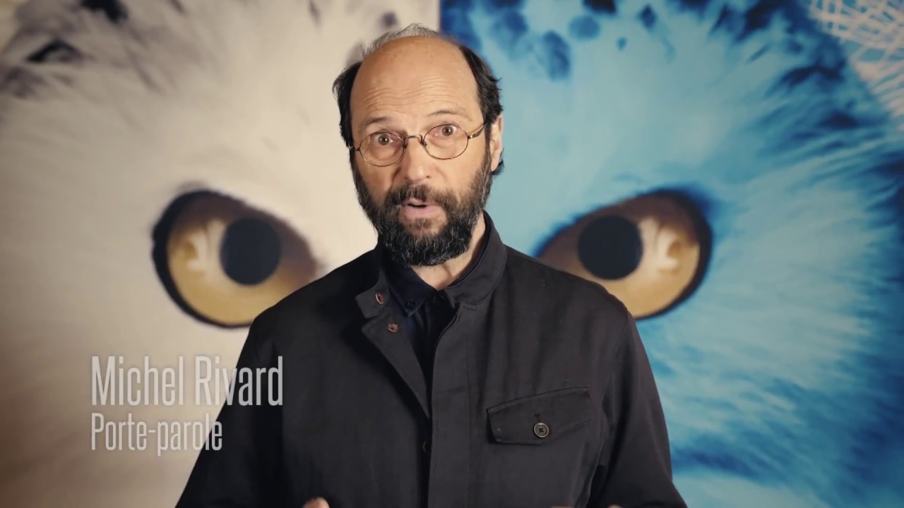 Michel Rivard - En route vers la Fête nationale - YouTube