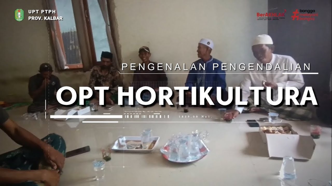 Pengenalan Pengendalian OPT Hortikultura - YouTube