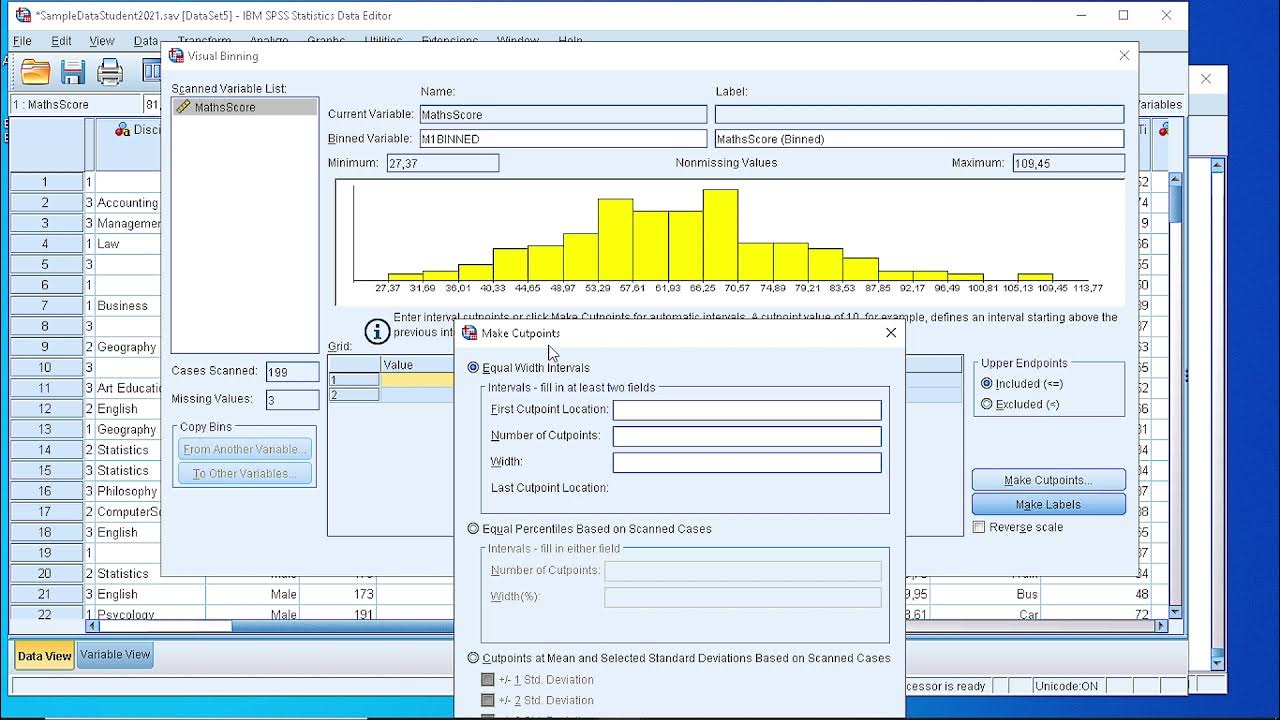 SPSS Explore Data / How to Bin or Group a Numeric Variable - YouTube