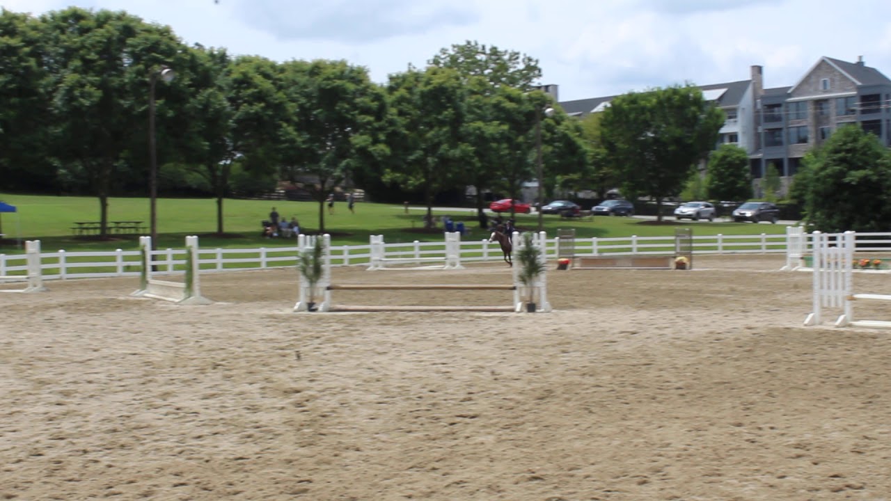 Novice Hunter over Fences 18" - trip B - YouTube