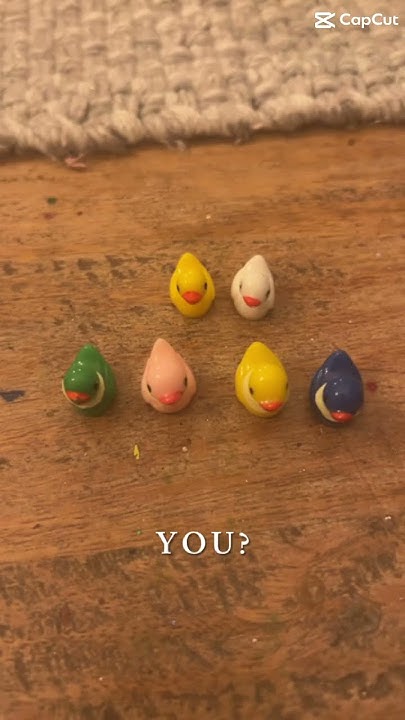 Yes I am obsessed 😍 with ducks - YouTube