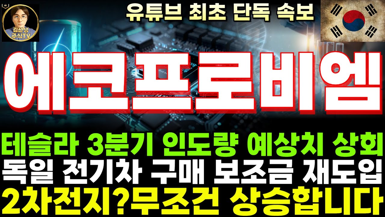 에코프로비엠 주가전망 단독 테슬라 3분기 인도량 예상치 상회 전망 독일 전기차 구매 보조금 재도입 유럽 전기차 시장