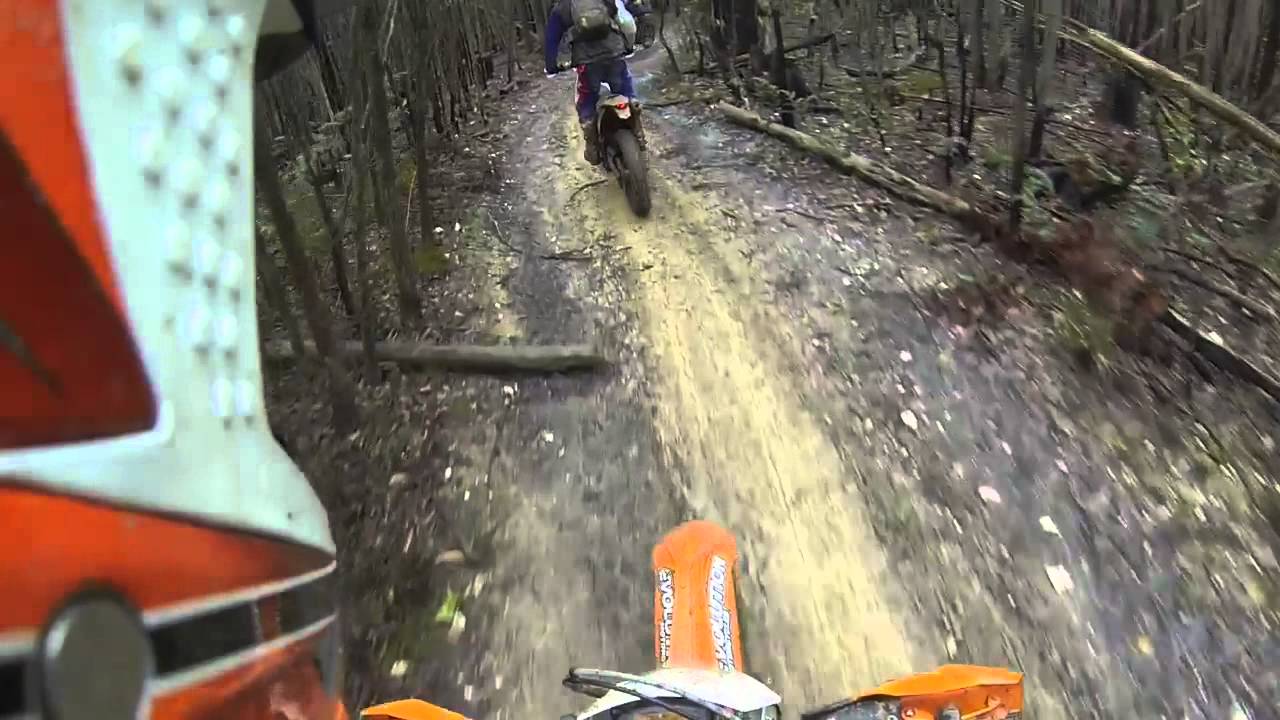 'De Ja Vu Ride' Wicked Wombat with DirtriderZ 1 8 2015 - YouTube