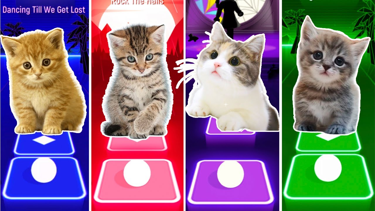 CUTE CAT BLACKPINK KILL THIS LOVE vs JENNIE SOLO vs LISA MONEY vs BTS ...