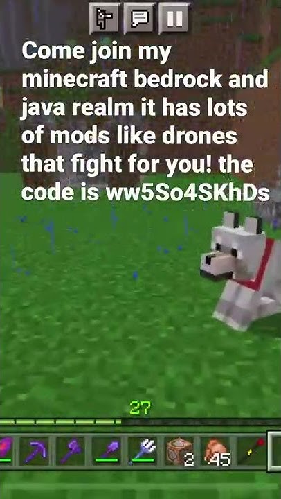 Come join my minecraft java and bedrock realm! - YouTube