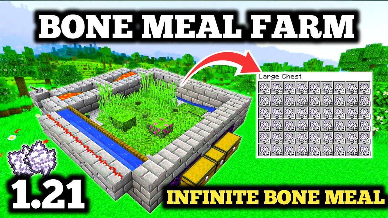 Minecraft EASY Bone Meal FARM FOR ANY WORLD Tutorial 1.21+ - YouTube