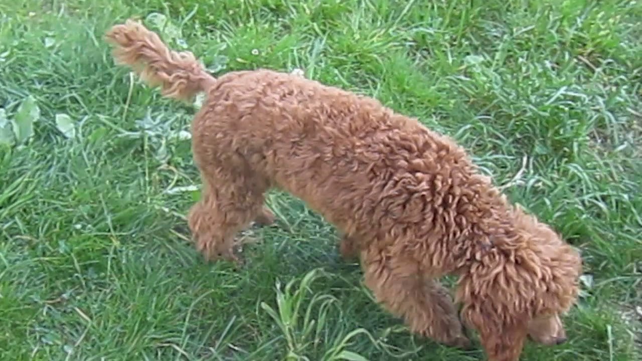 MVI 6615 YouTube mvi-6615-youtube