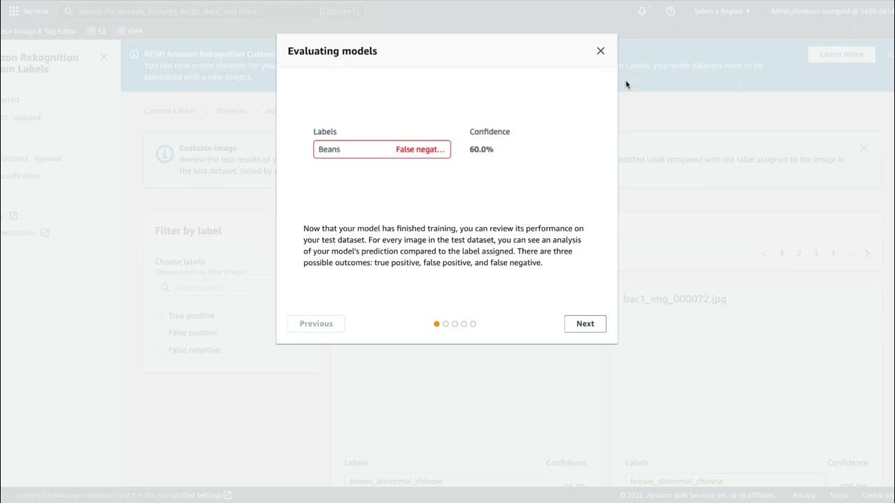 Amazon Rekognition Custom Labels Demo - YouTube