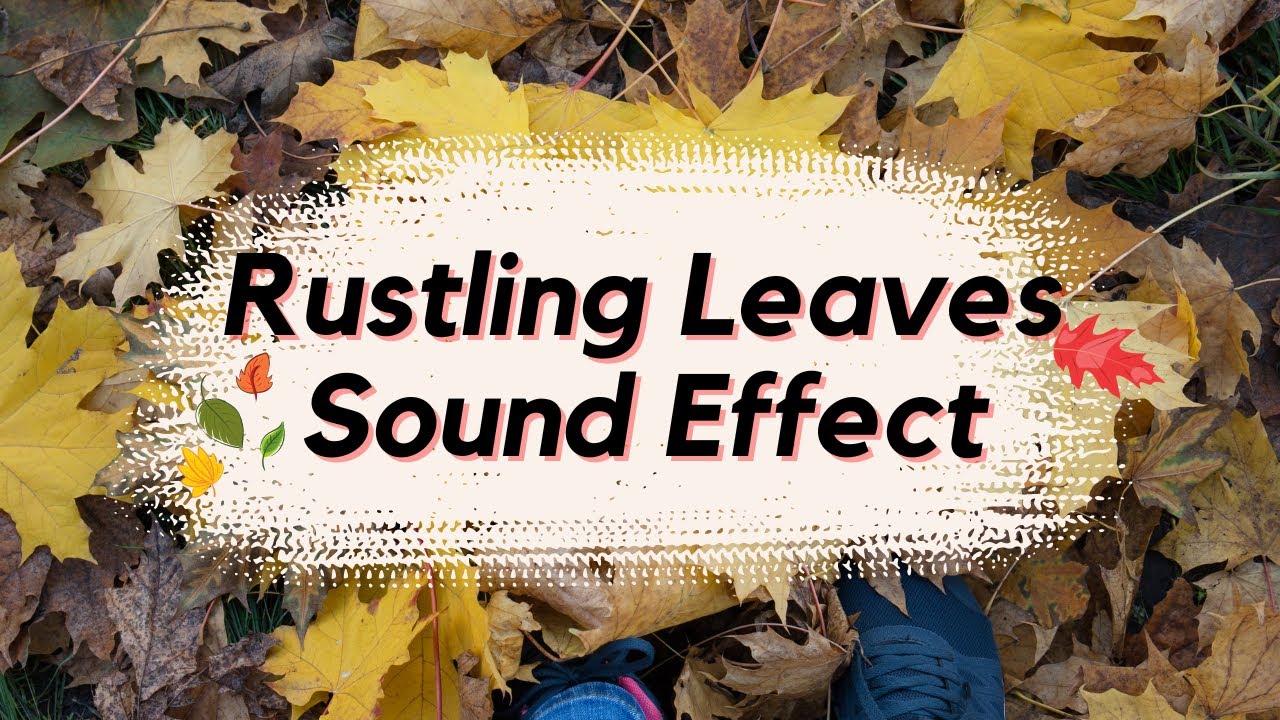 Leaves Sound Effect The Sound Of Wind Leaves Rustling Leaves Sound Leaves Sound Effect The Sound Of Wind Leaves Rustling Leaves Sound