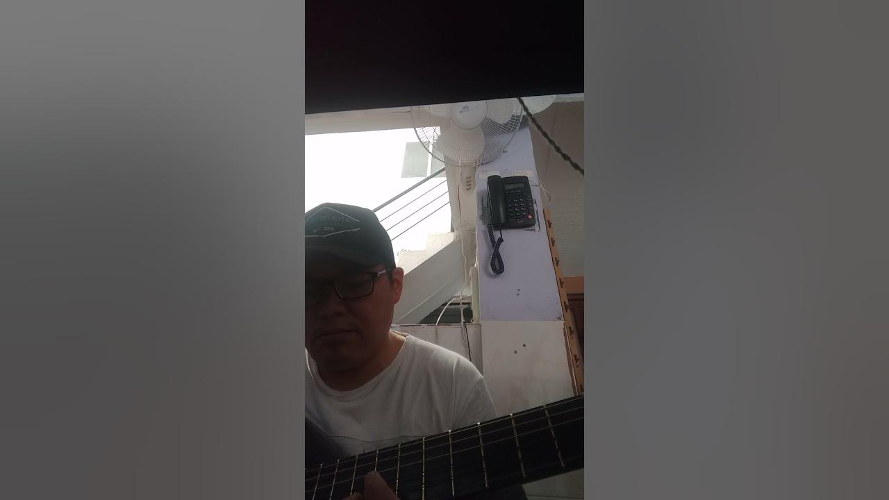 el medio peso de los pingüinos, intro. - YouTube