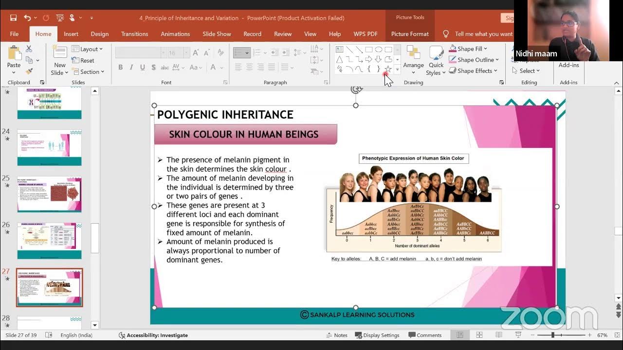 Polygenic Inheritance & Pleiotropy - Biology - Session 72 - YouTube