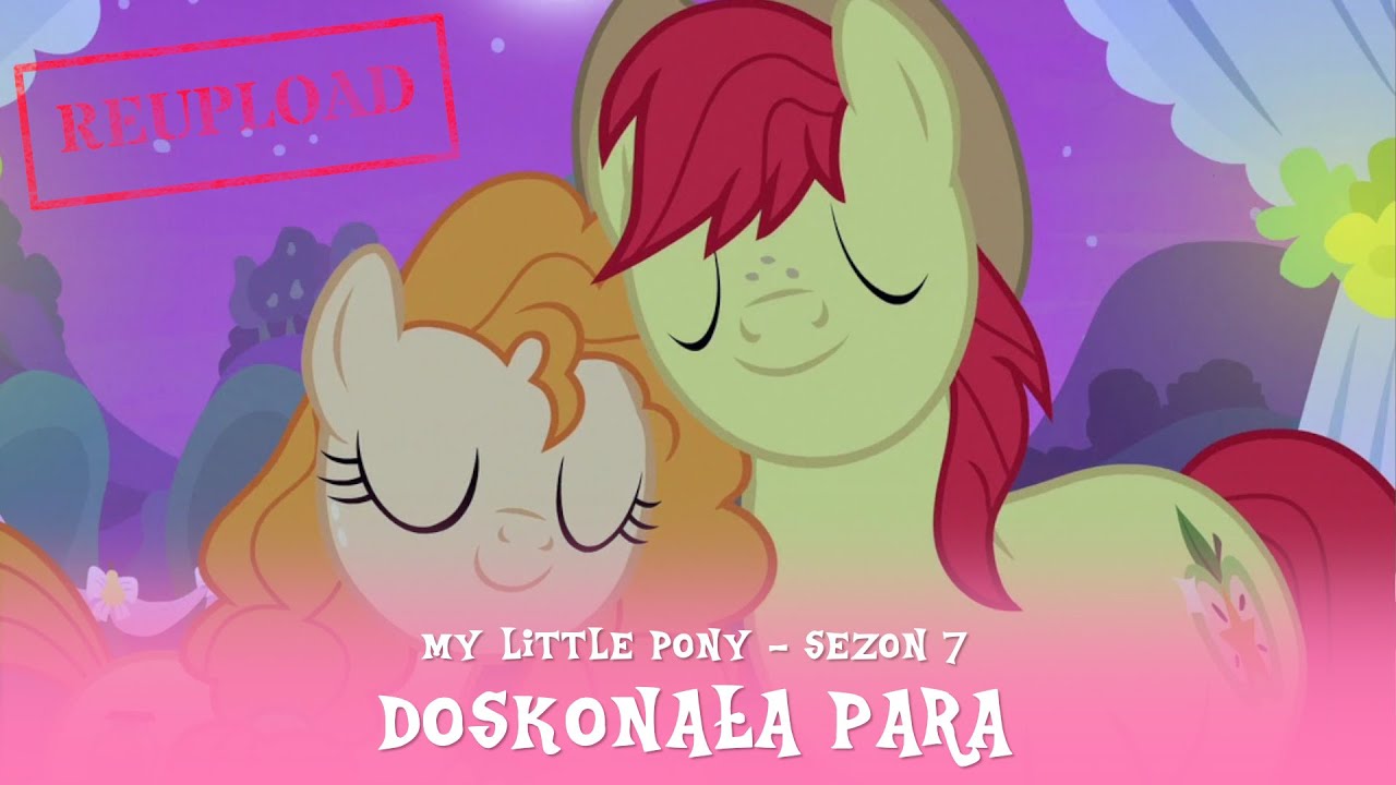 My Little Pony - Sezon 7 Odcinek 13 - Doskonała para [REUPLOAD] - YouTube