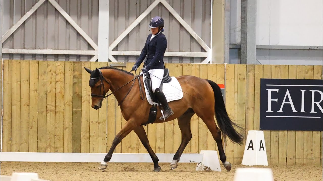 BD - Novice Freestyle - 69.44% Hartpury 10.5.25 - YouTube