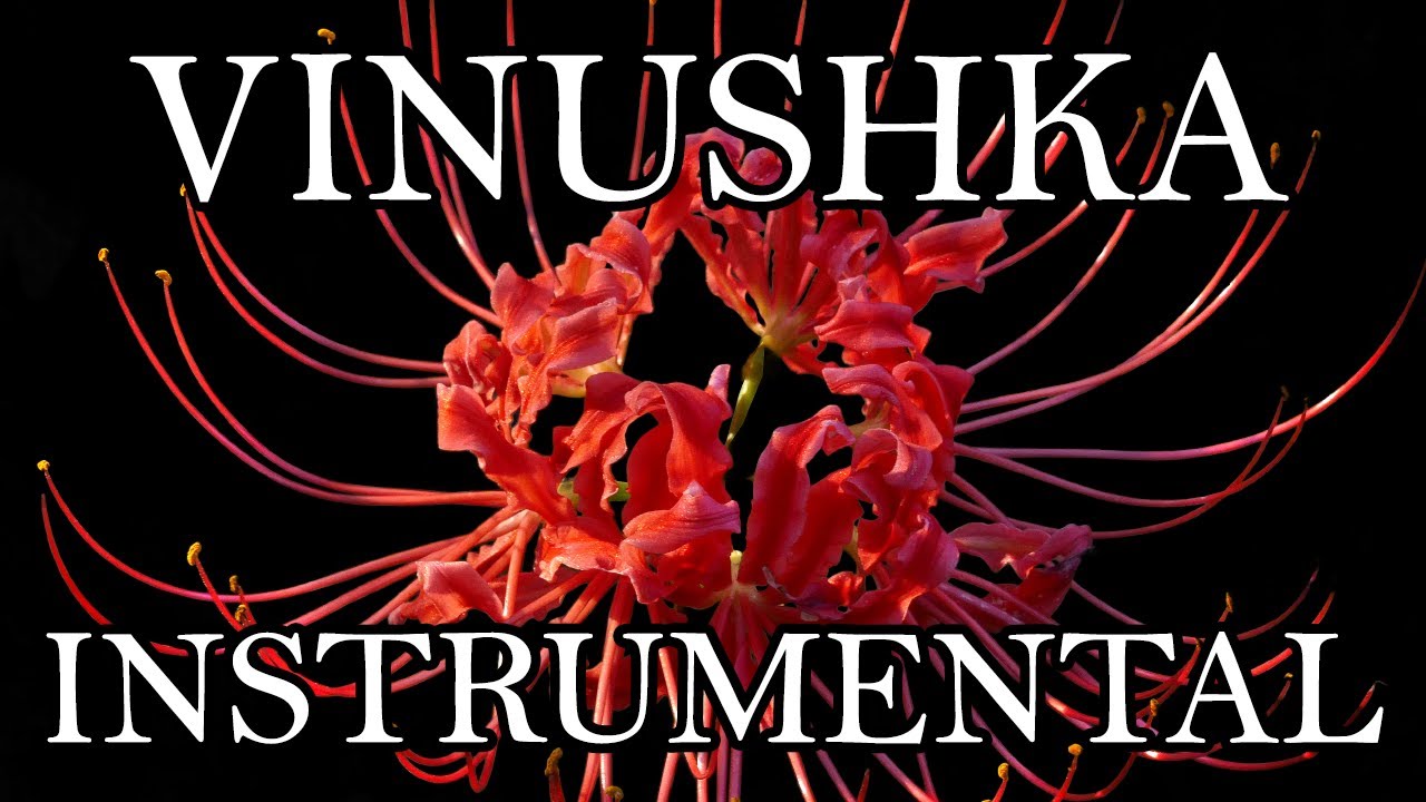 DIR EN GREY - VINUSHKA (Instrumental Cover) - YouTube