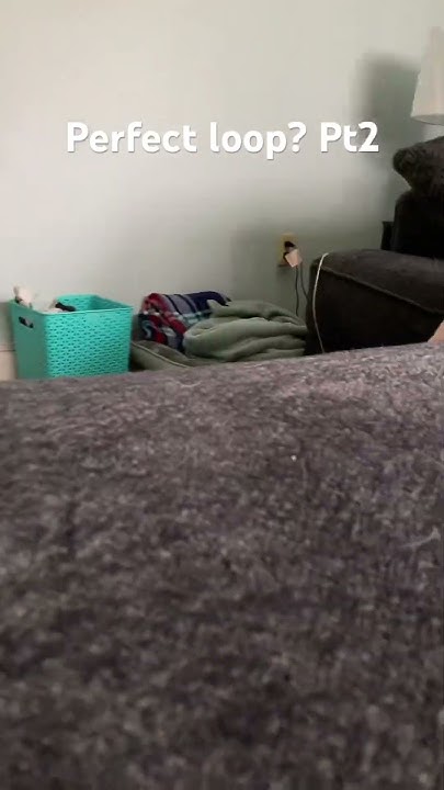 Perfect loop part 2 - YouTube