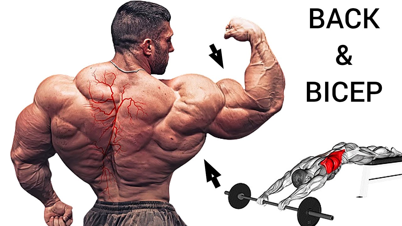 Back and Bicep Workout to Grow Back Bicep - YouTube