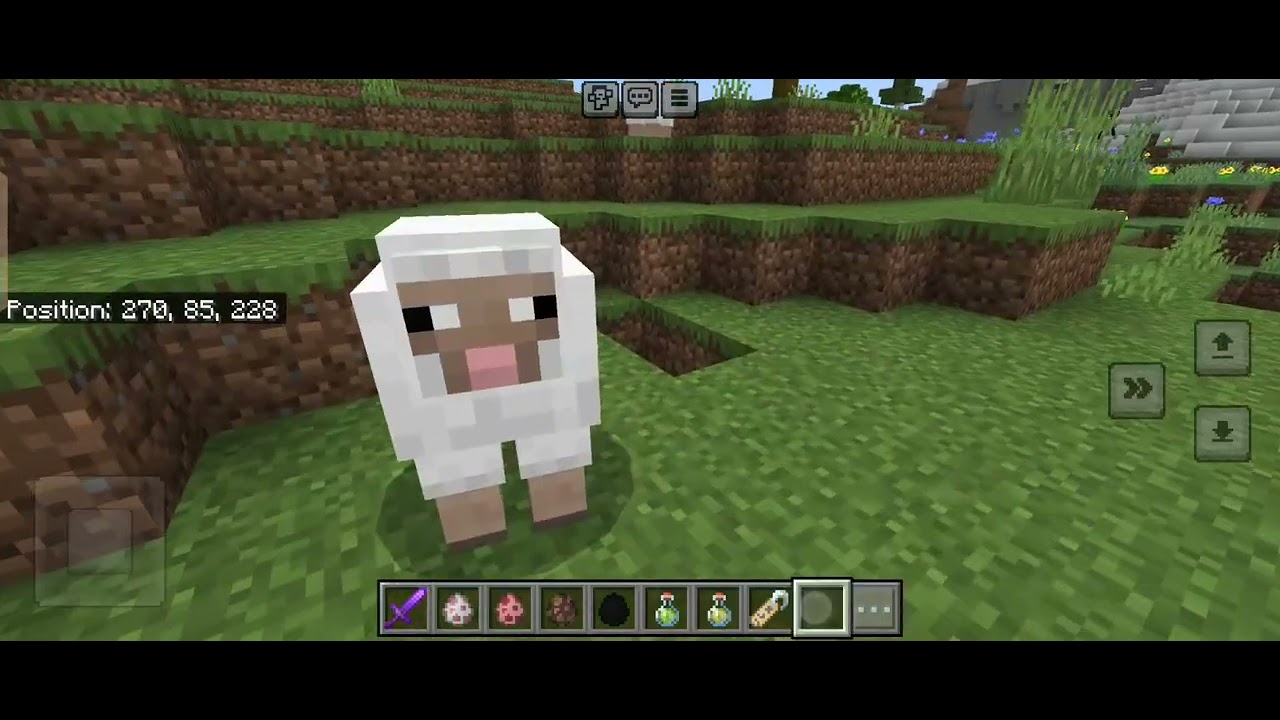 HOW TO NAME jeb_ IN SHEEP TO MAKE AN RAINBOW SHEEP! subscribe - YouTube