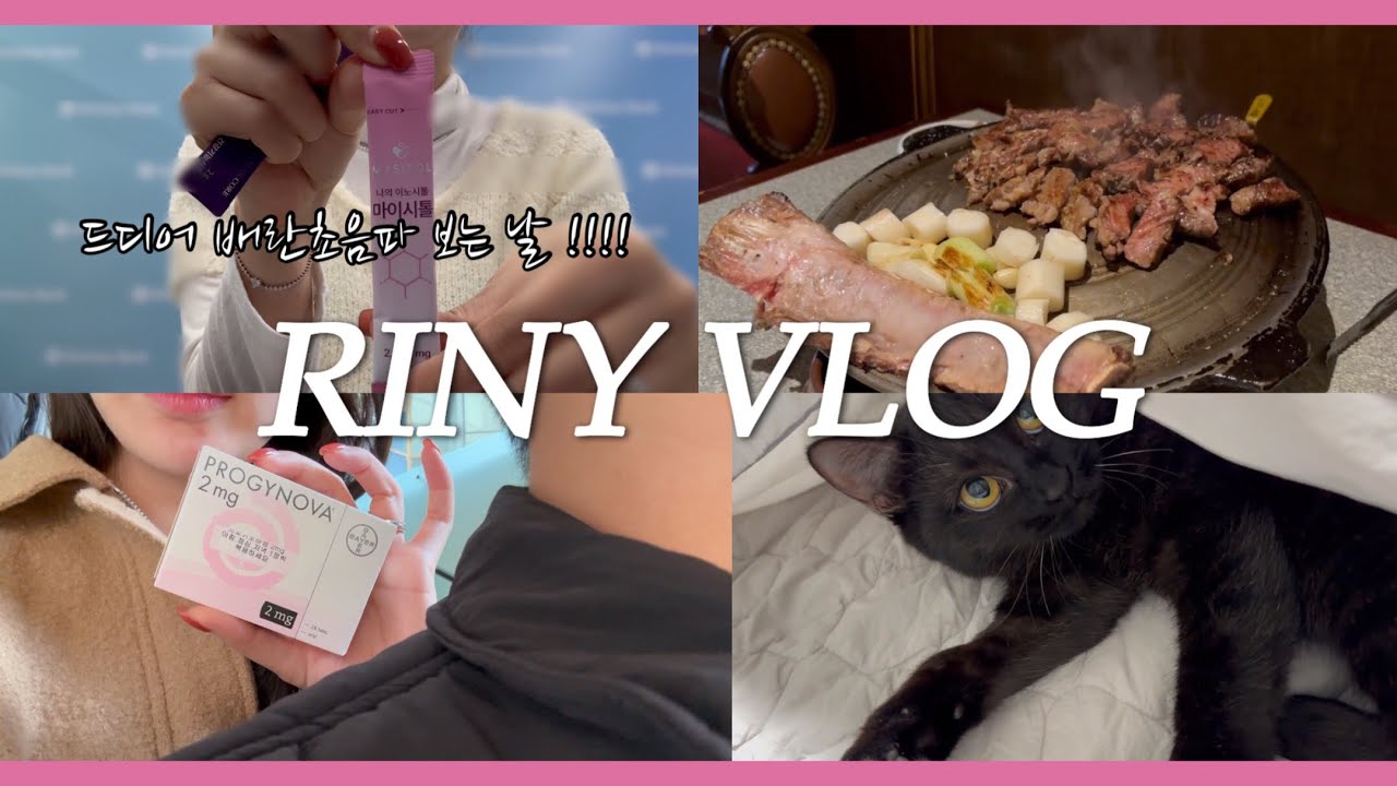 Vlog 직장인 브이로그신혼부부 브이로그8년차 은행원배란초음파 보고 왔어요다낭성 임신준비하기먹고운동하고출근하고