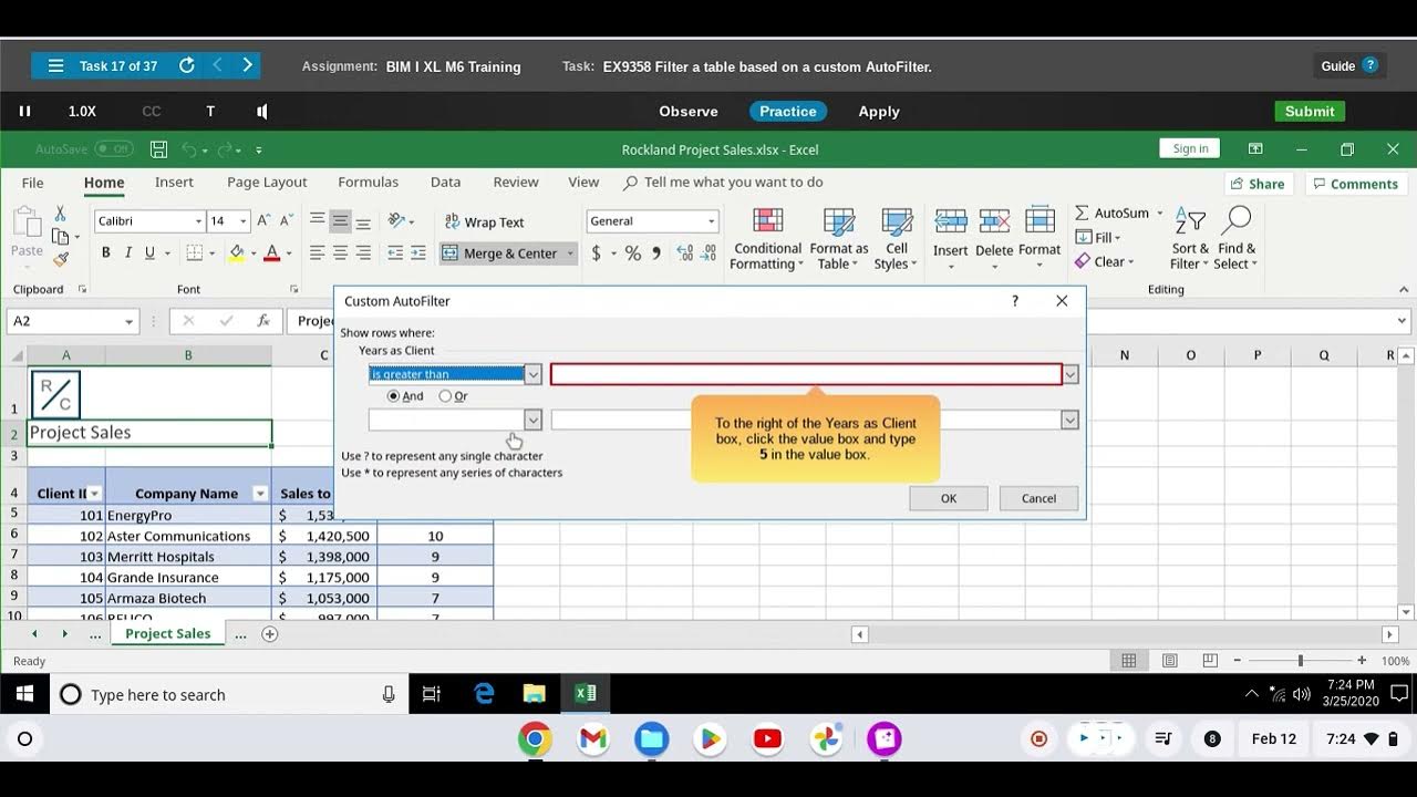 BIM I Excel Module 6 Training Task Tutorial: EX9358 Filter a table based on a custom AutoFilter ...