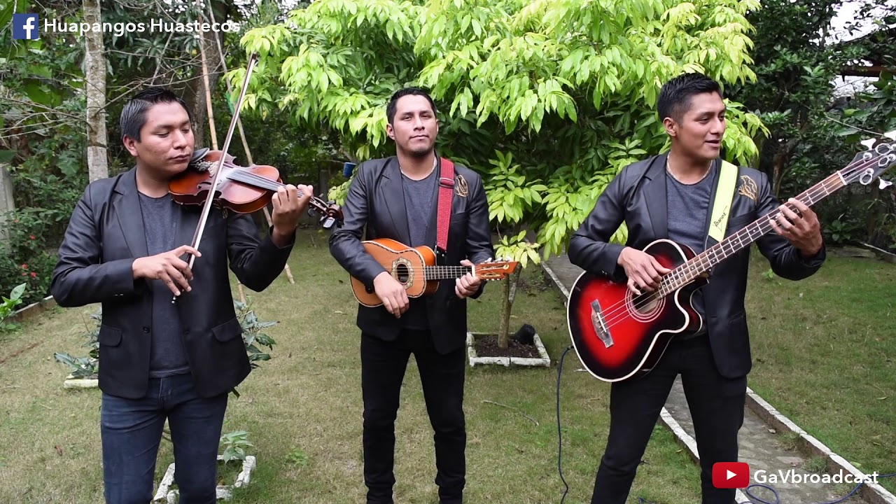 A bailar cumbias con el trío Cenzontle Huasteco de Tamalín Veracruz ...