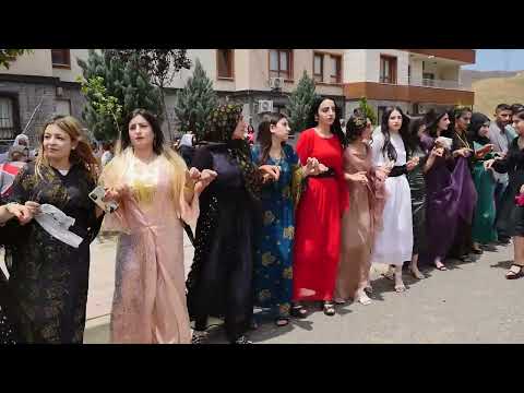 Ferhat Özkül Düğünü Part 4 / Foto Gizem