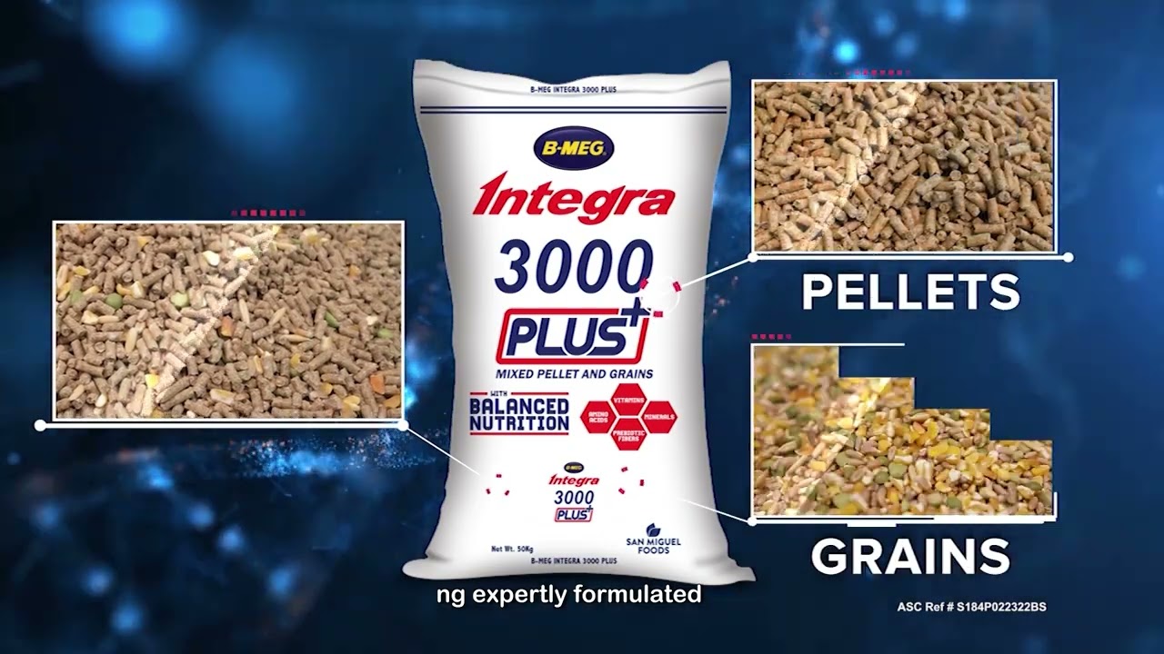 B-MEG INTEGRA 3000 PLUS 15s - YouTube