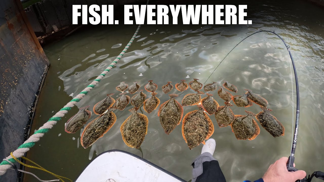 We Found FISH HEAVEN - Galveston TX - YouTube