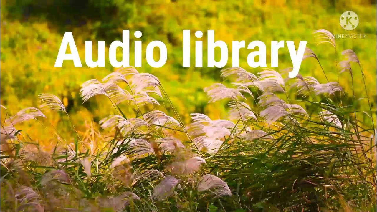 Best Audio library music for YouTube videos - YouTube