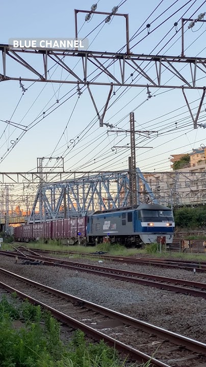 (貨物列車) 2024/09/11 2064レ EF210-172 + コキ21B (百済タ〜東京タ) #Shorts - YouTube