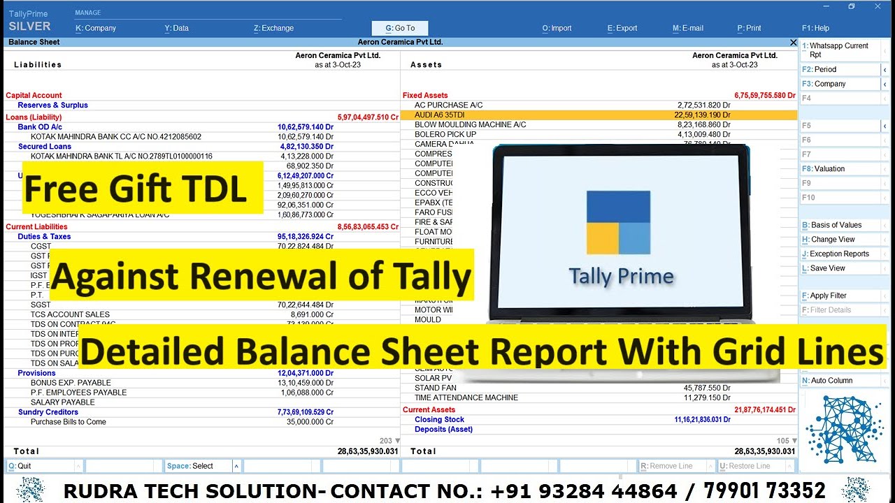Detailed Balance Sheet And P&L Report With Grid Lines In Tally Software ...