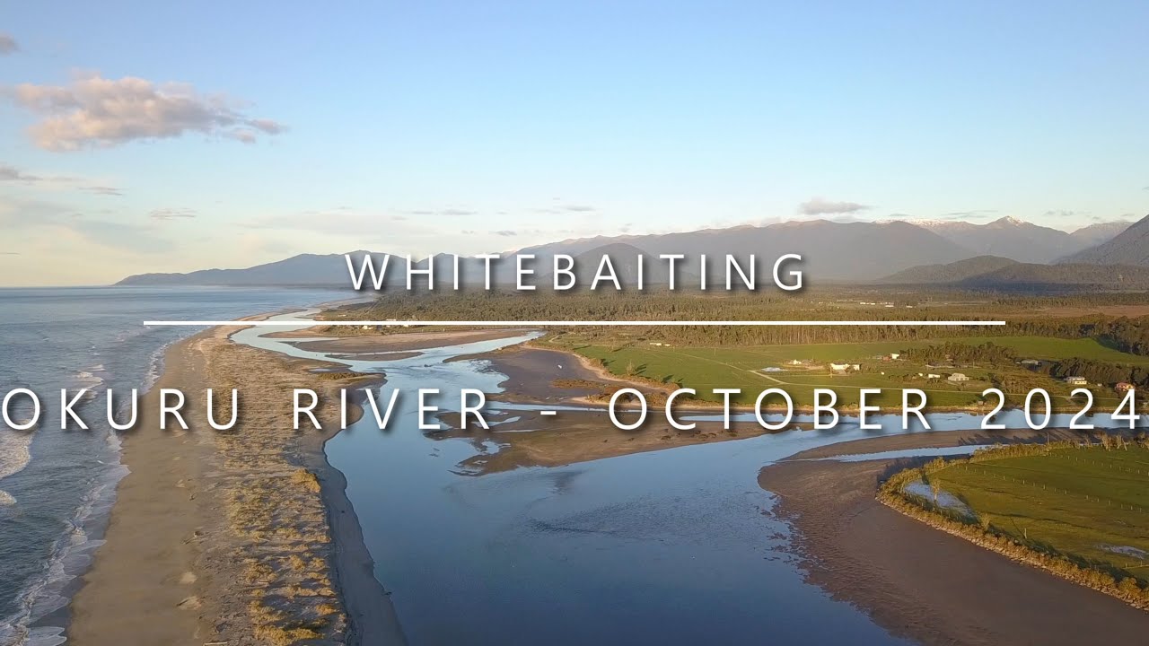 Whitebaiting the Okuru River (Haast) - October 2024 (069) - YouTube