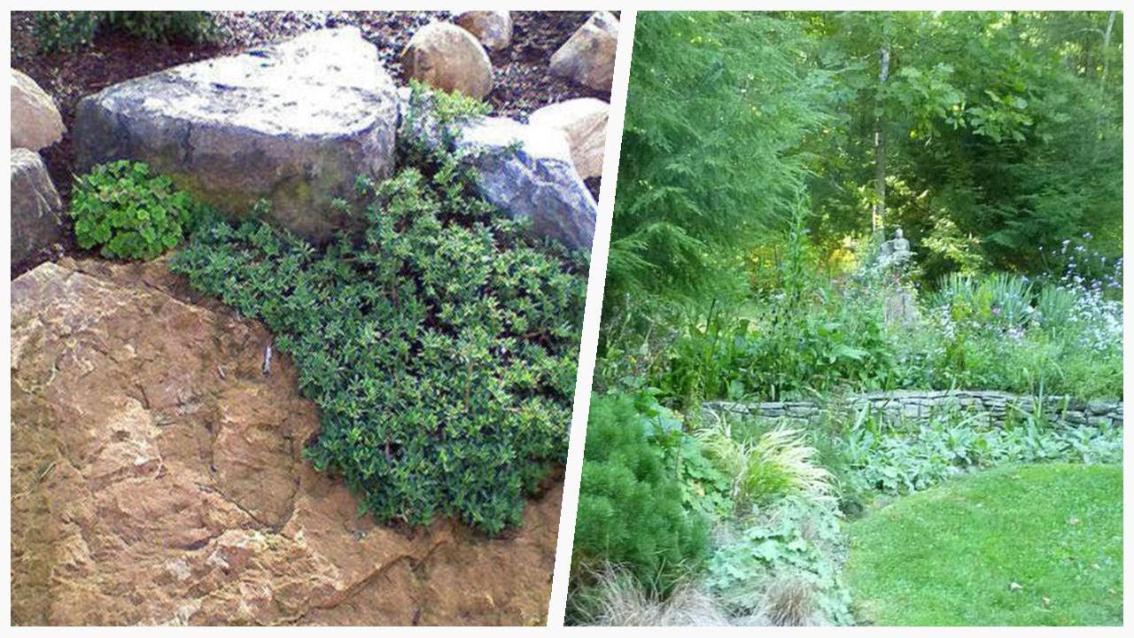 75 Rustic Turquoise Landscaping Design Iideas You'll Love ⭐️ - YouTube