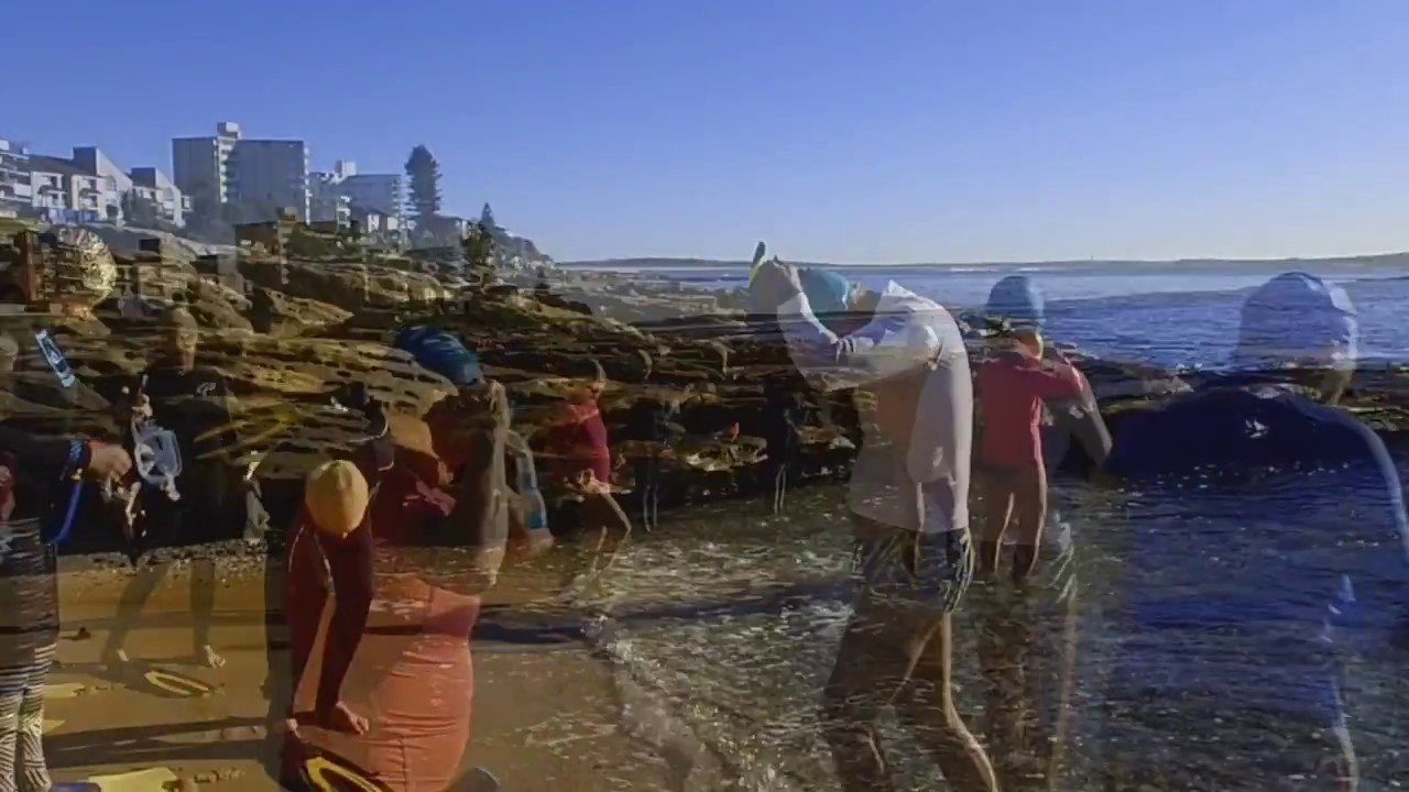 Relaxing Monday Morning Swim - YouTube