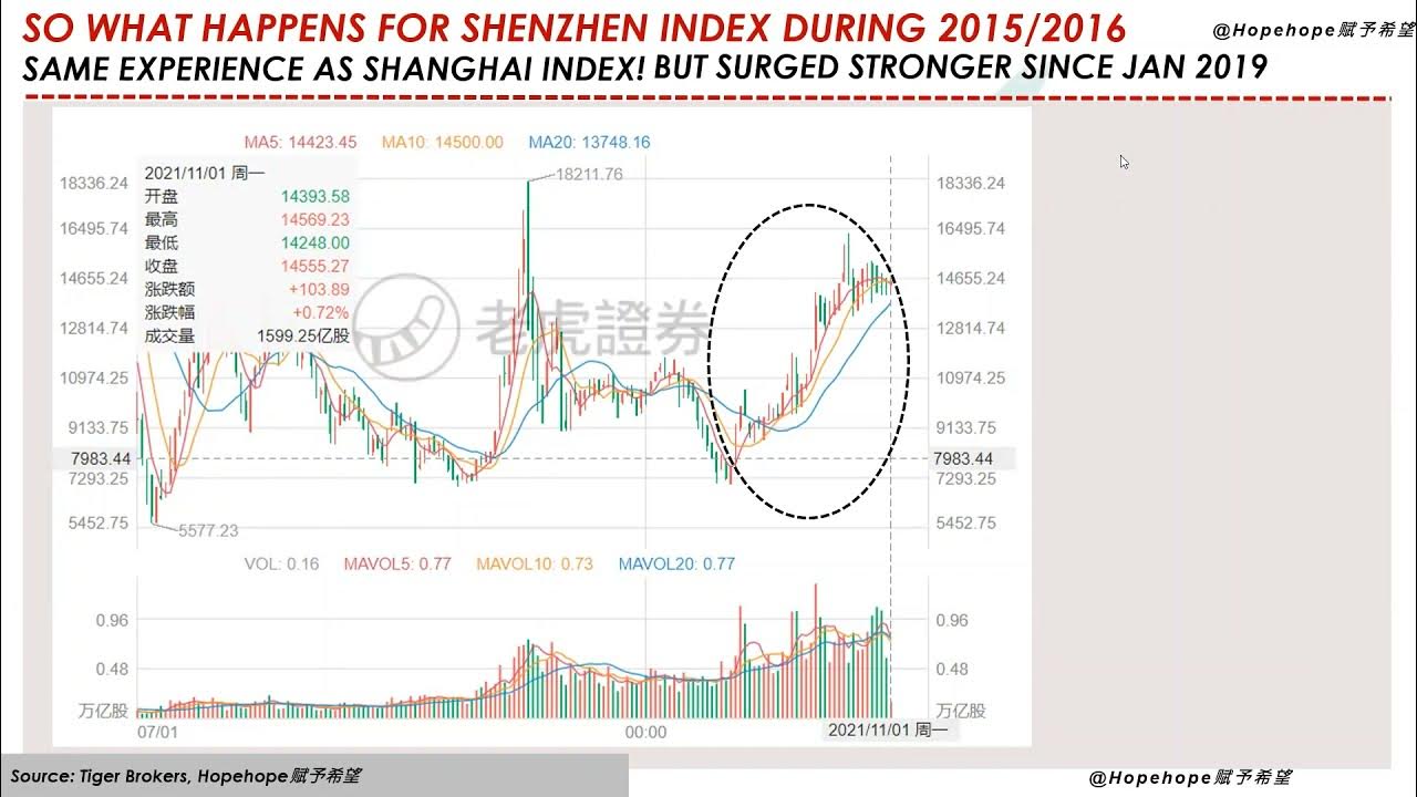 China stock market crash in 2015/2016 中国股灾. What can we learn from ...