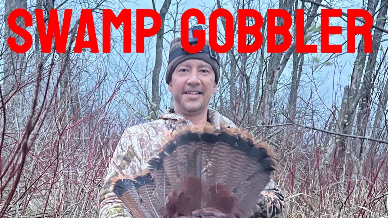Spring Swamp Gobbler!! - YouTube