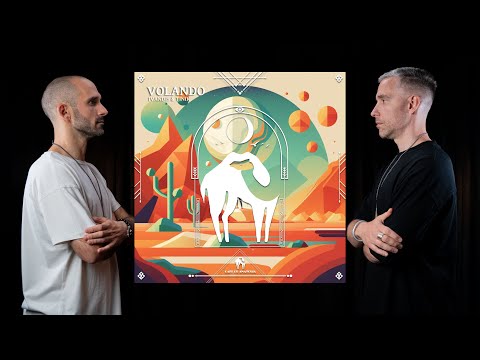 Ivandis & Tinik - Volando (Original Mix)