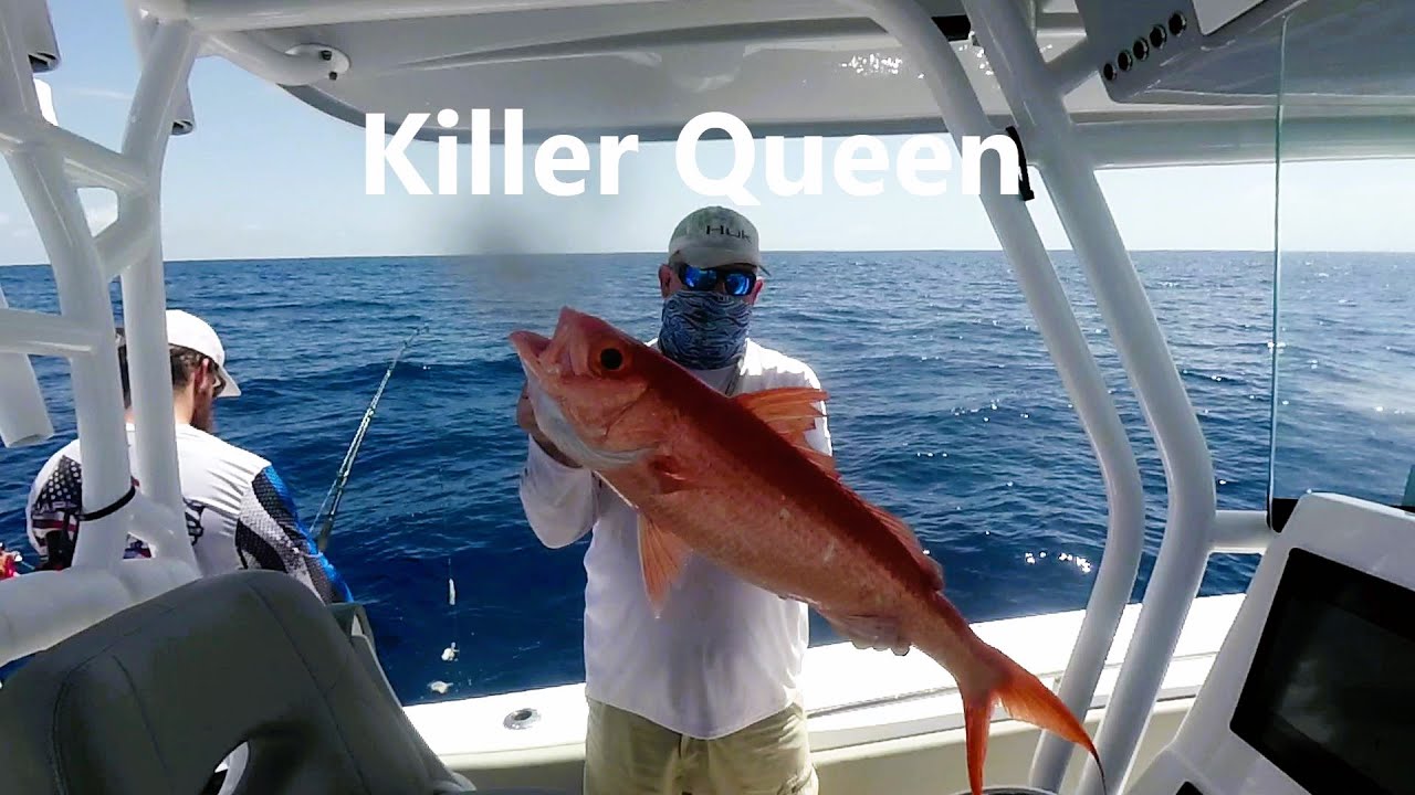 Naples FL to Pulley Ridge Epic Day! - YouTube