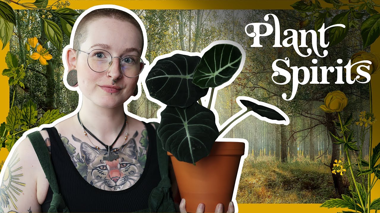 Plant Spirits: How to connect with them physically, spiritually and ...