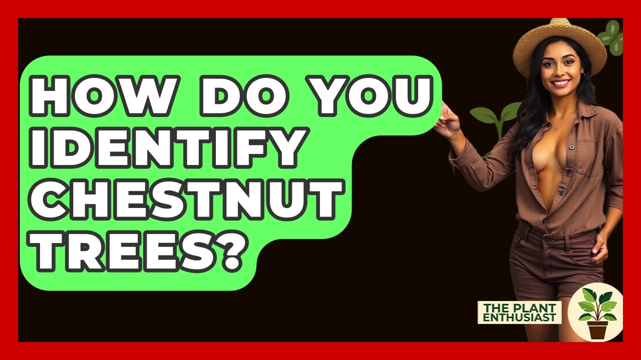 How Do You Identify Chestnut Trees? - The Plant Enthusiast - YouTube