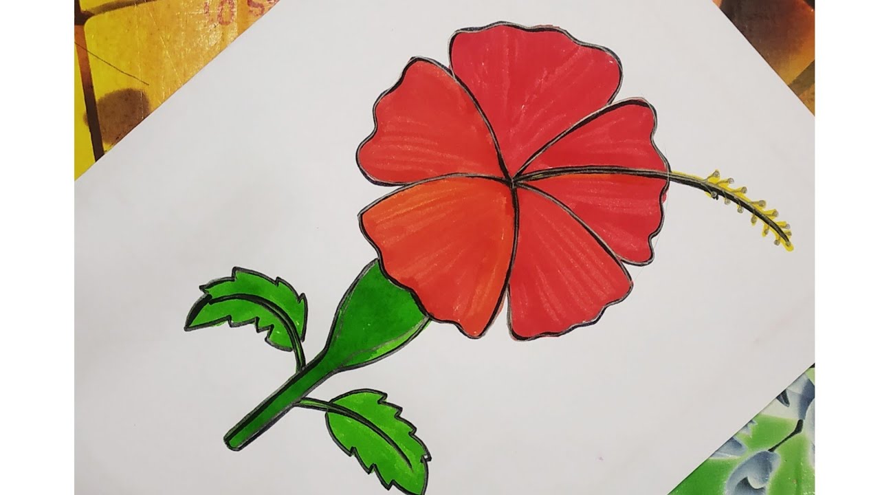 How to draw Hibiscus 🌺 flower | Joba ful Akanor Koushol #hibiscus # ...