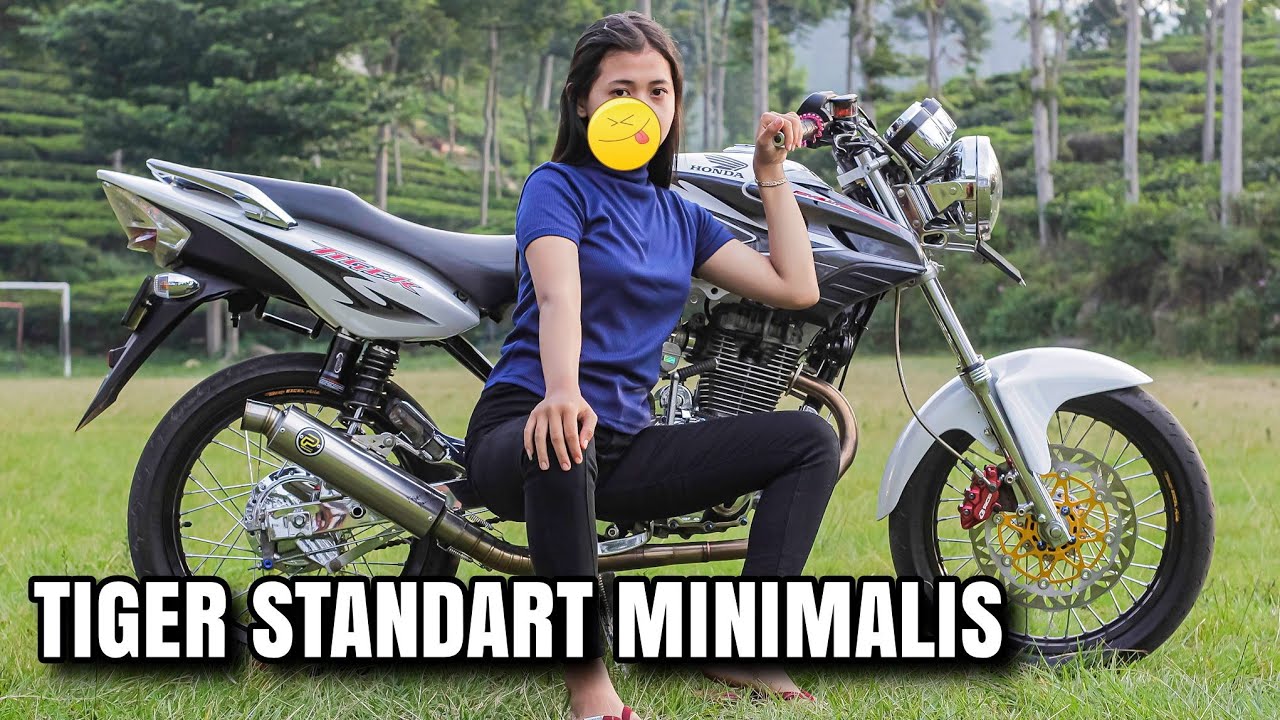 REVIEW TIGER PUTIH STANDART MINIMALIS - YouTube