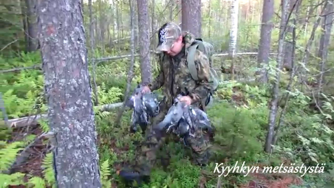 Metsästys | Jakt | Hunting - YouTube