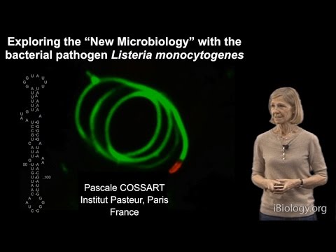 Pascale Cossart (Institut Pasteur) Part 2: Exploring "New Microbiology ...