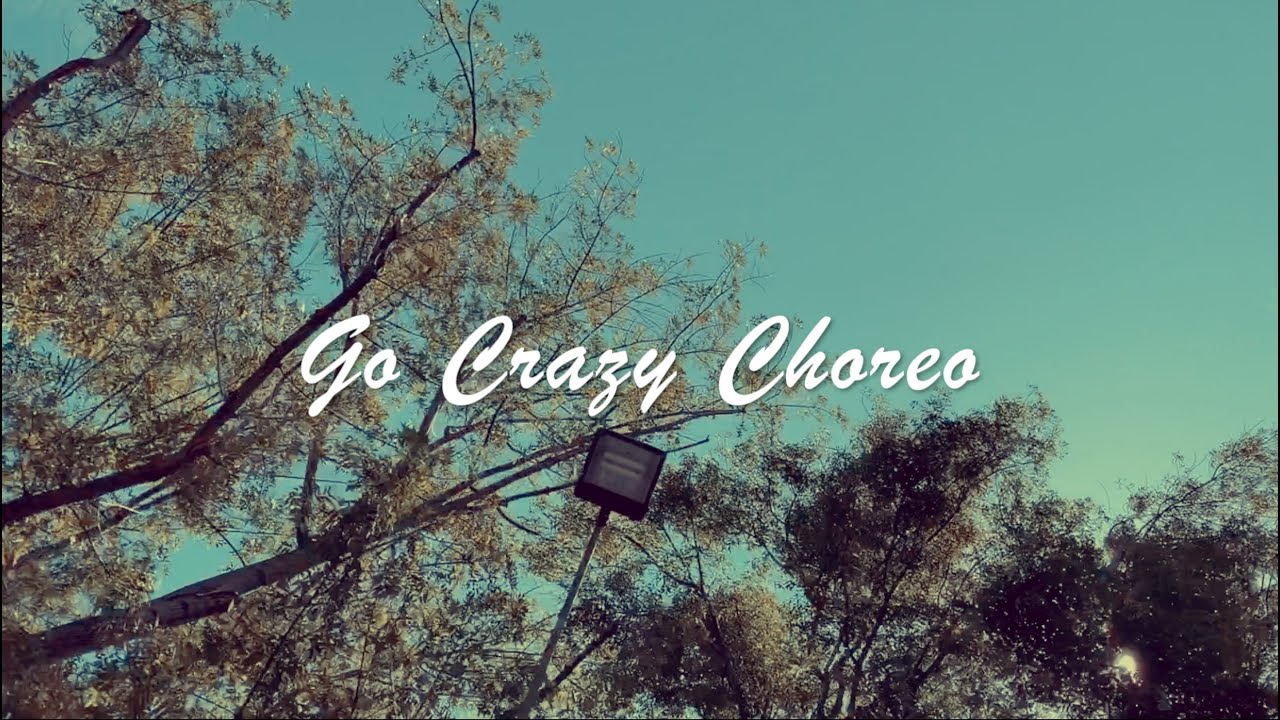 Go Crazy - Chris Brown, Young Thug | Akshay S. Choreo - YouTube