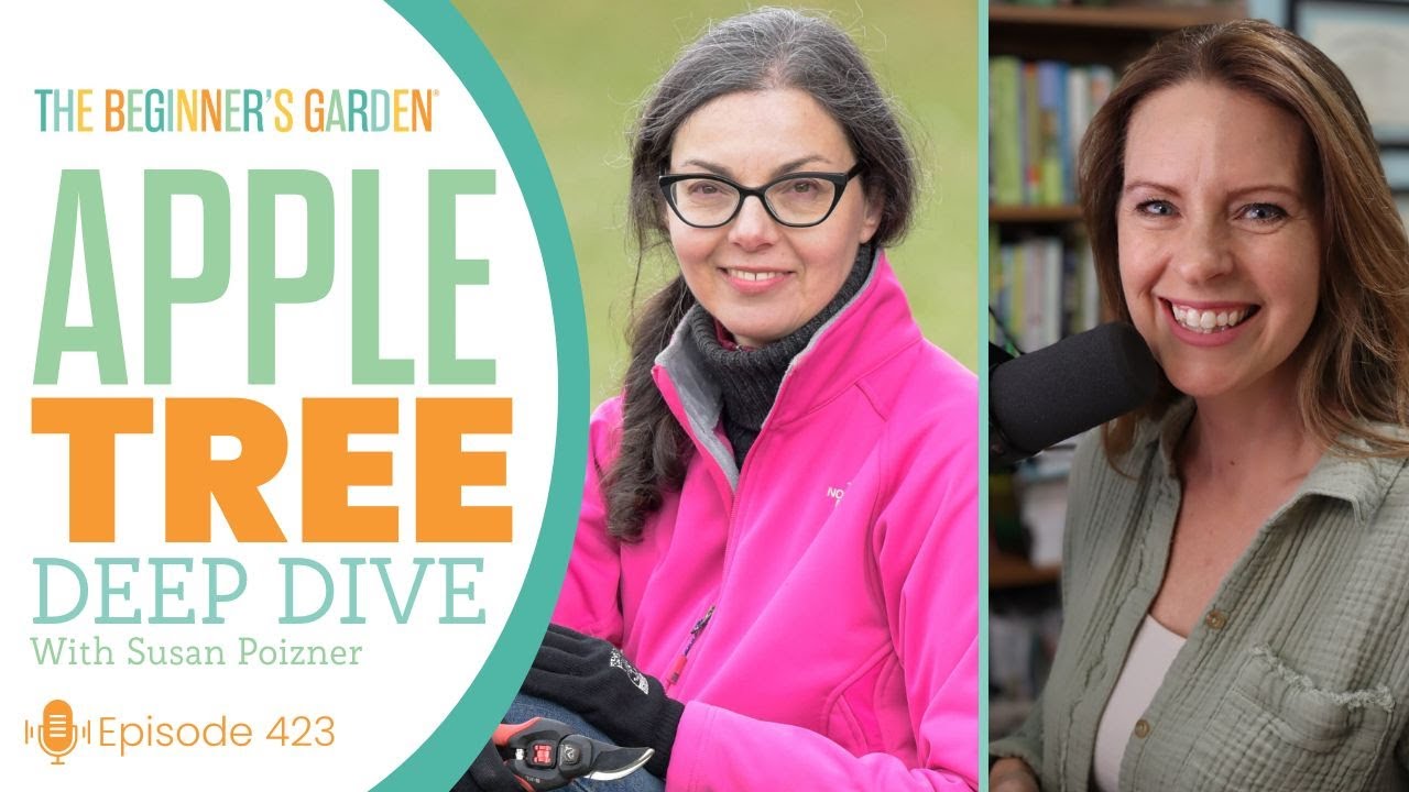 Grow Organic Apple Trees: what to do in years 1-3 with Susan Poizner ...